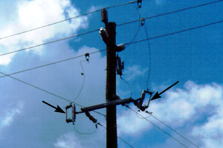 ELI5: How do they fix power lines when a tree falls on them? : r ...